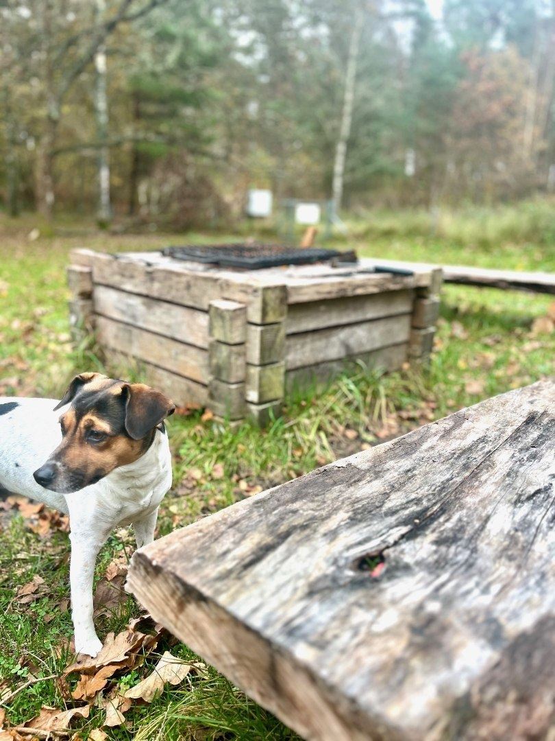 Destination Snogeholm, Accommodation details, Stugby