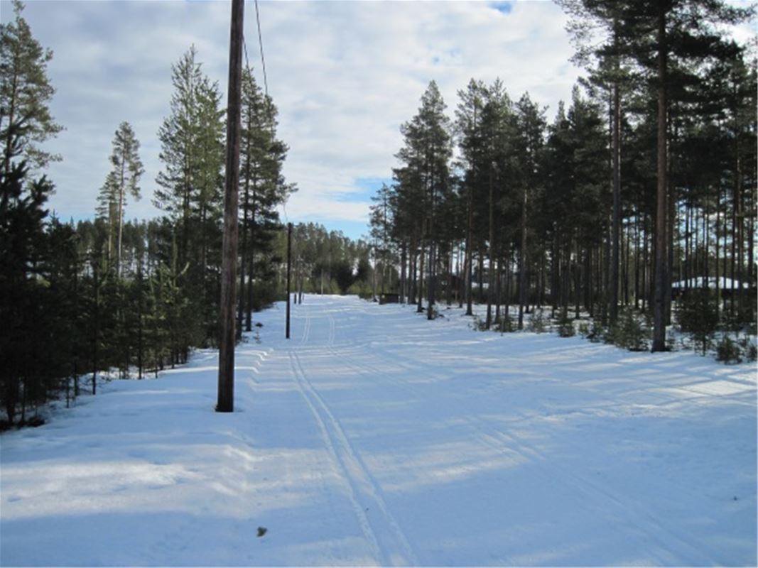 Furudal 2,5 - 12 km | Visit Dalarna