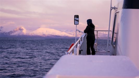 Hvalsafari – Rask og komfortabel katamaran | Visit Tromsø