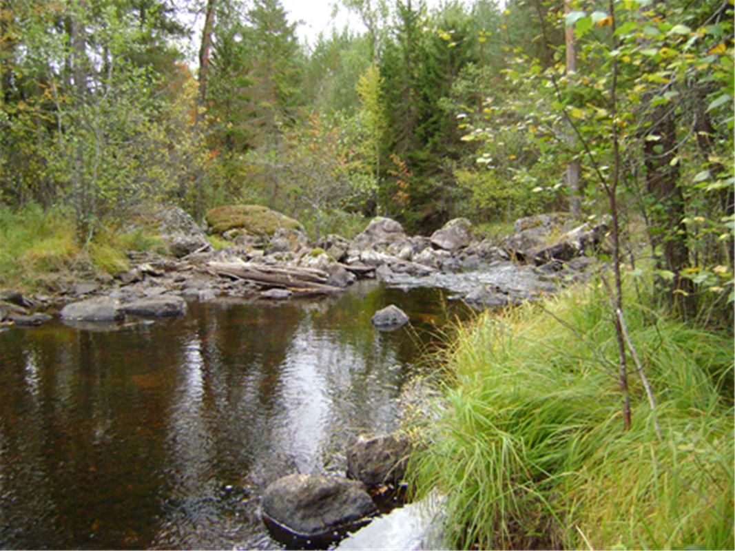 Lurån | Visit Dalarna