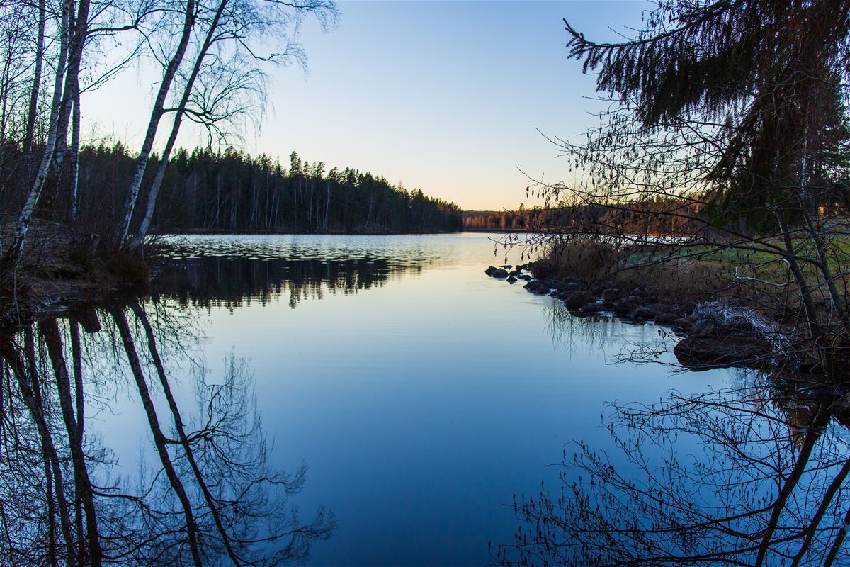Fiskekort Björsjö-Åsgarns Fiskevårdsområde | Visit Dalarna