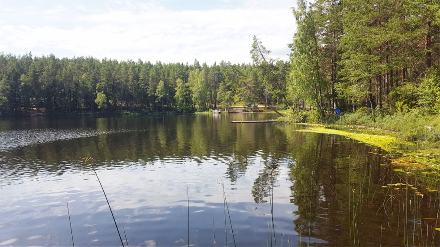 Fiskekort Stångtjärns Fiske | Visit Dalarna