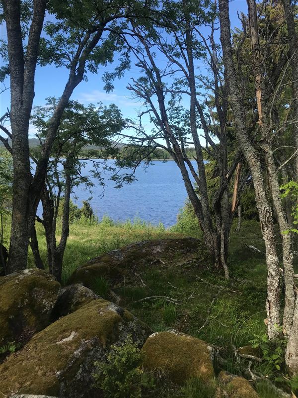 Alviken runt 7 km | Visit Dalarna