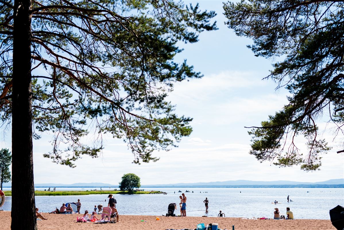 First Camp Orsa | Visit Dalarna