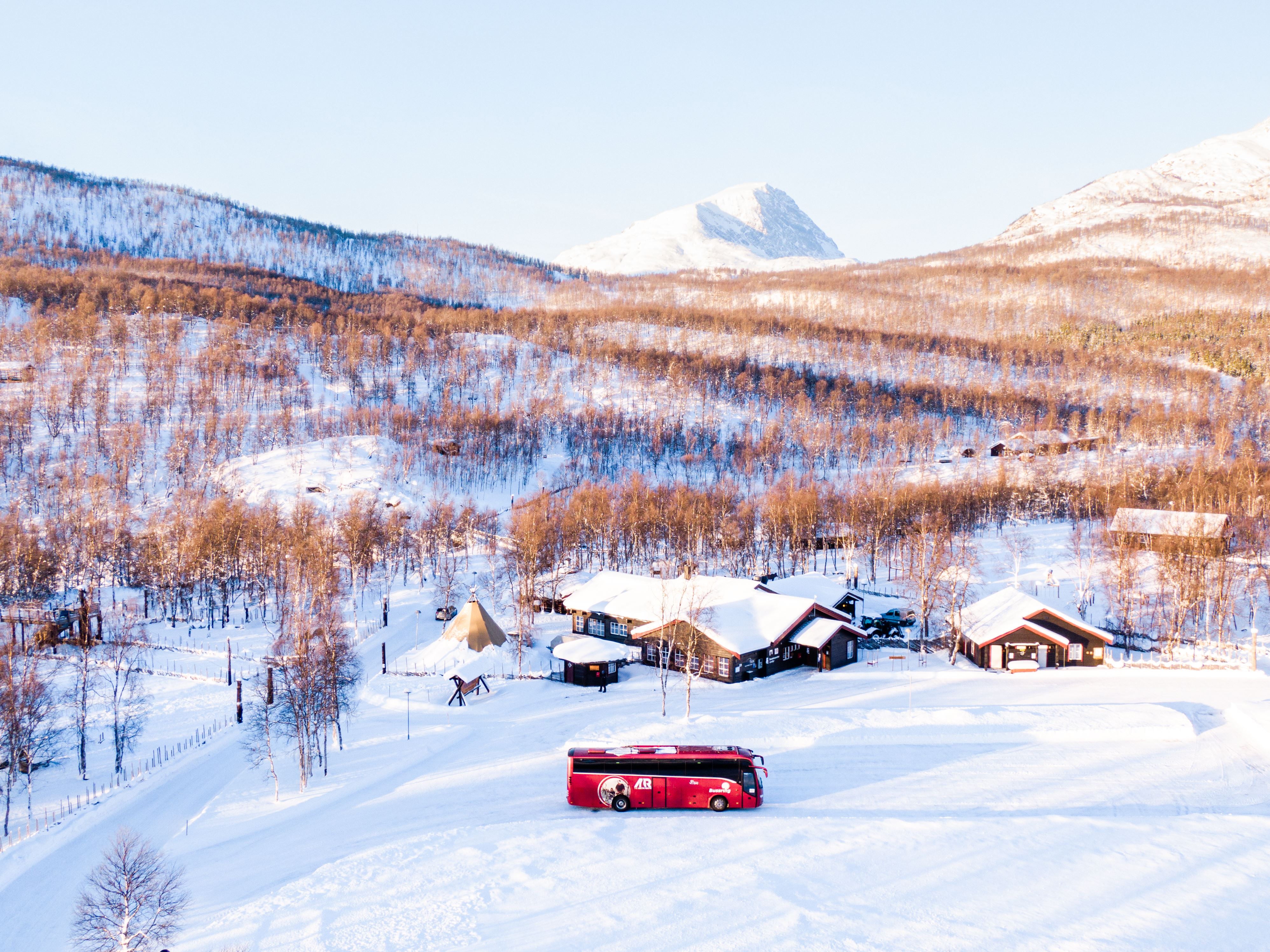 WINTER: Travel from Tromsø to Polar Park with Arctic Route