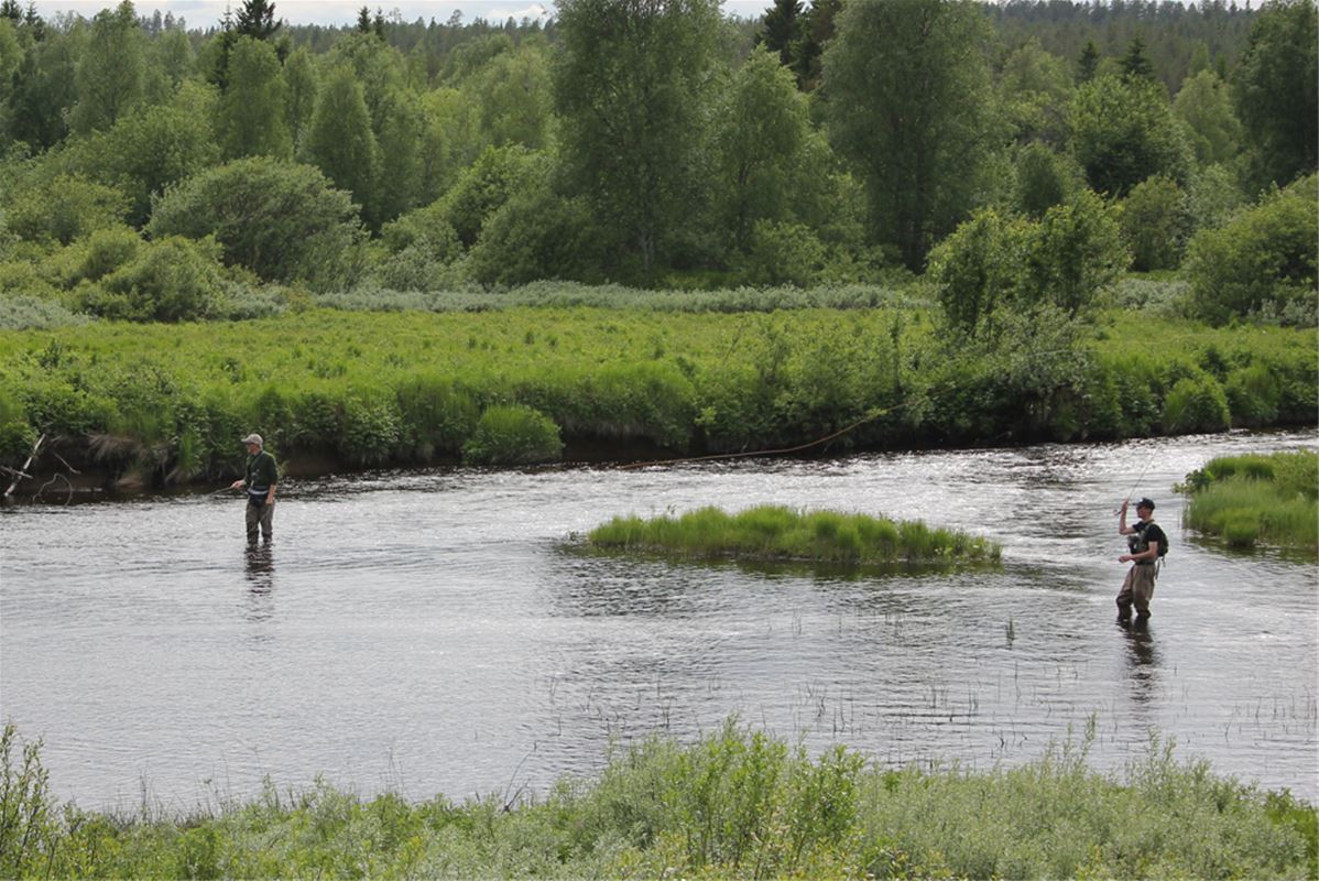 Nordic Footprints AB - Flugfiskekurs | Visit Dalarna
