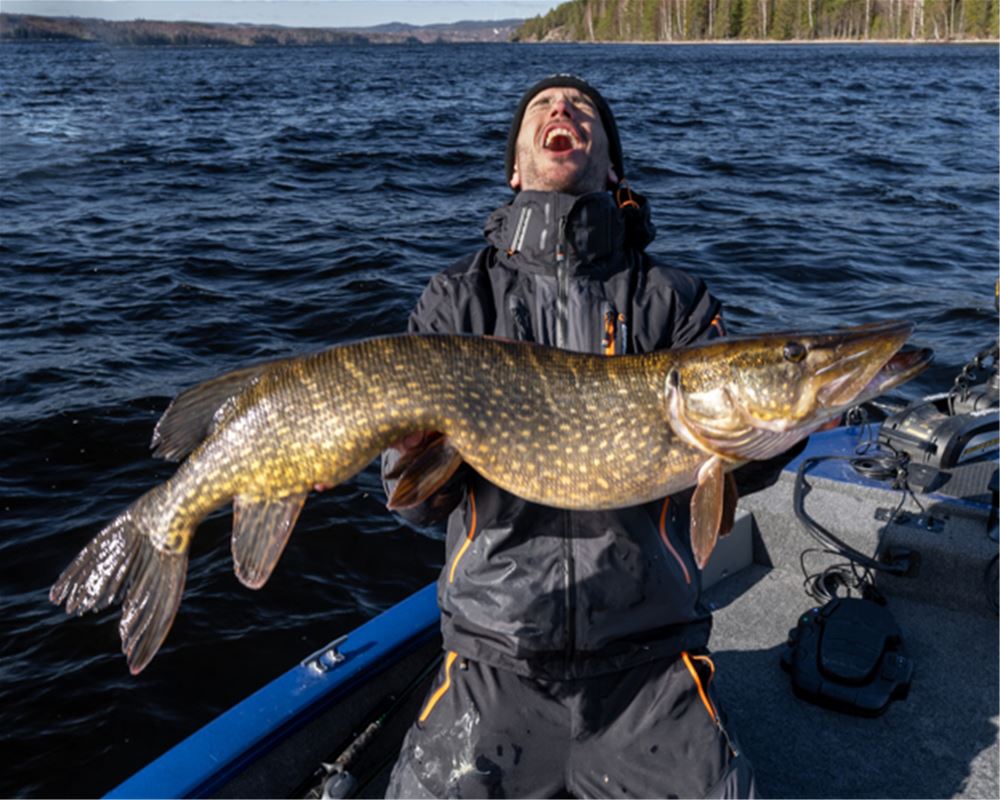 Cast and Catch Co' | Visit Dalarna