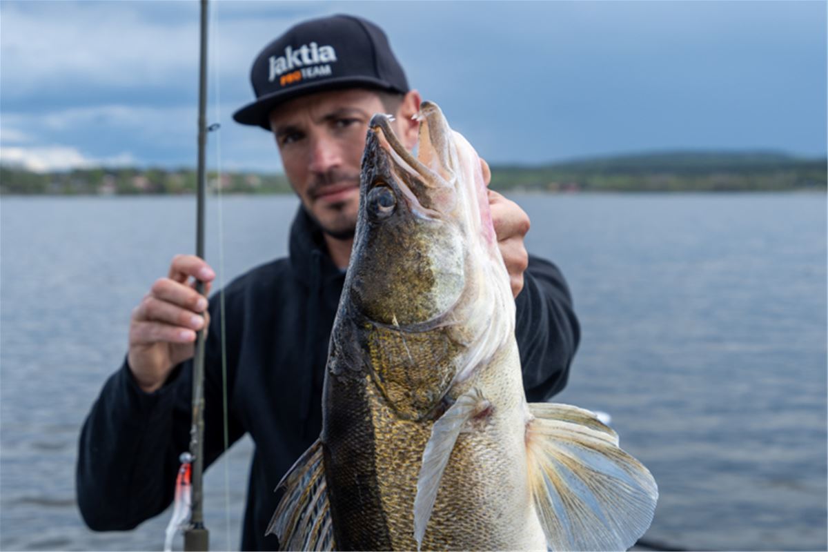 Cast and Catch Co' | Visit Dalarna