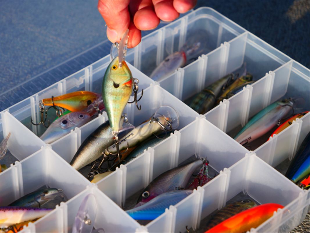 Cast and Catch Co' | Visit Dalarna