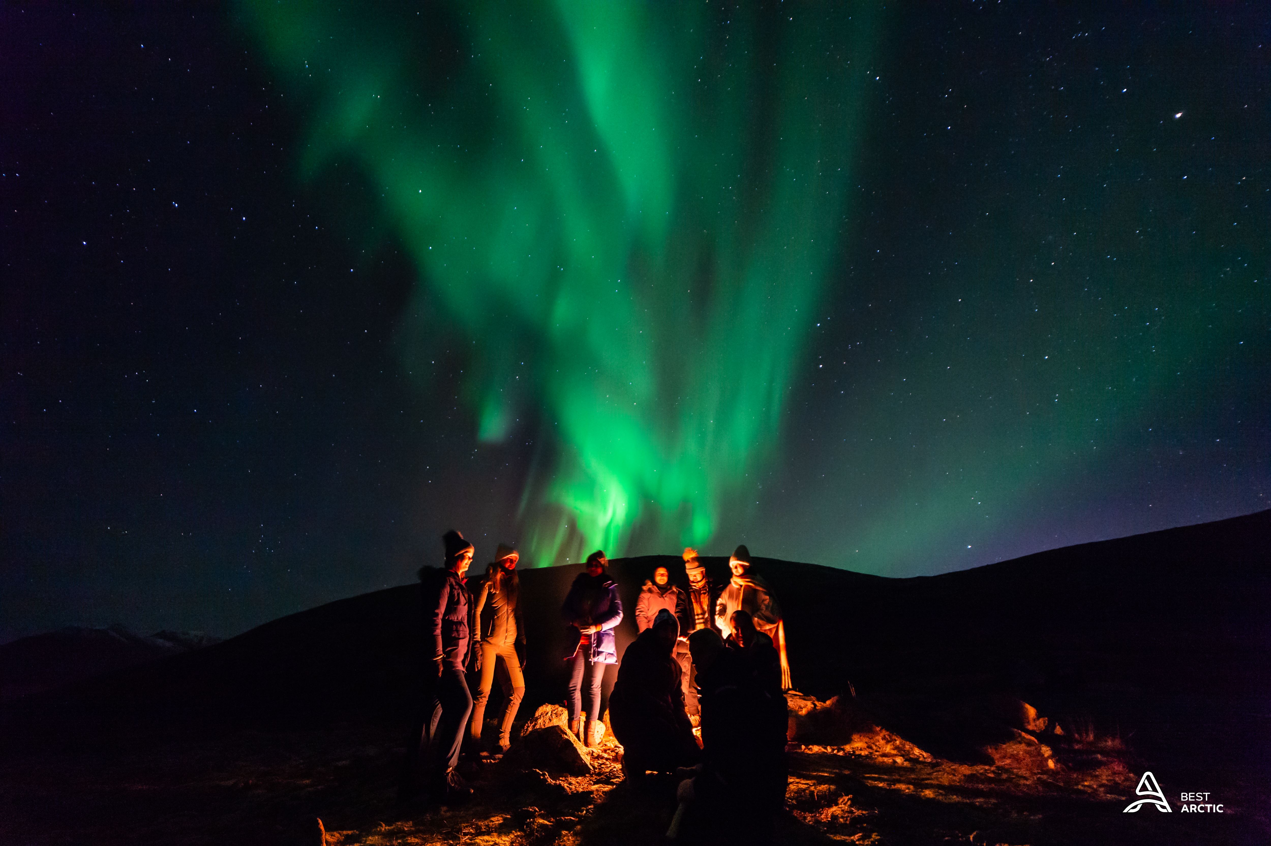 Aurora Safari Minibus, Northern lights, Solo