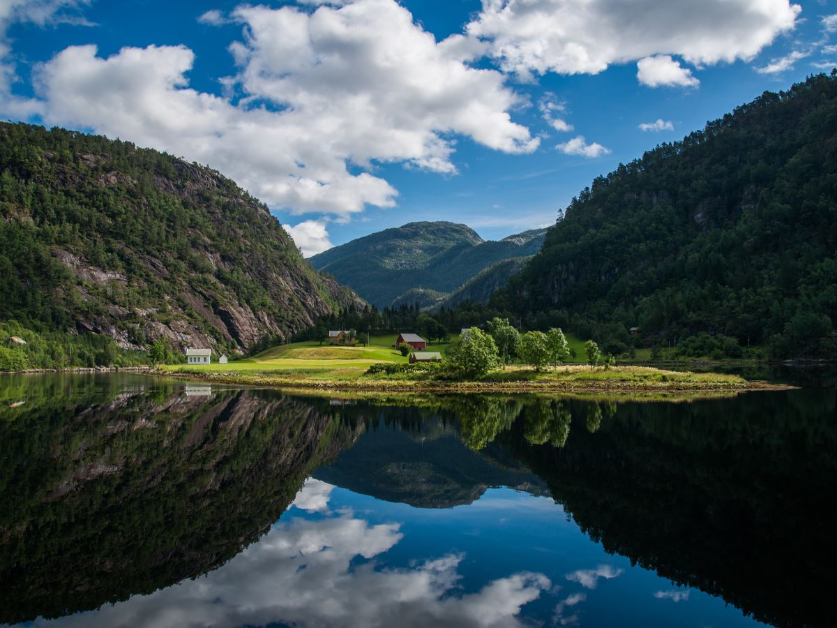 Fjord Cruise Mostraumen, Rødne Fjord Cruise AS