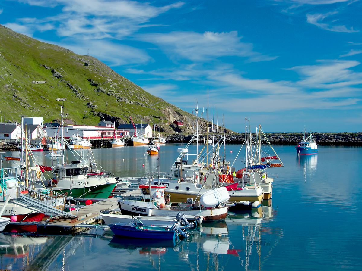 The North Cape Tour, Sightseeing, Guided Tours