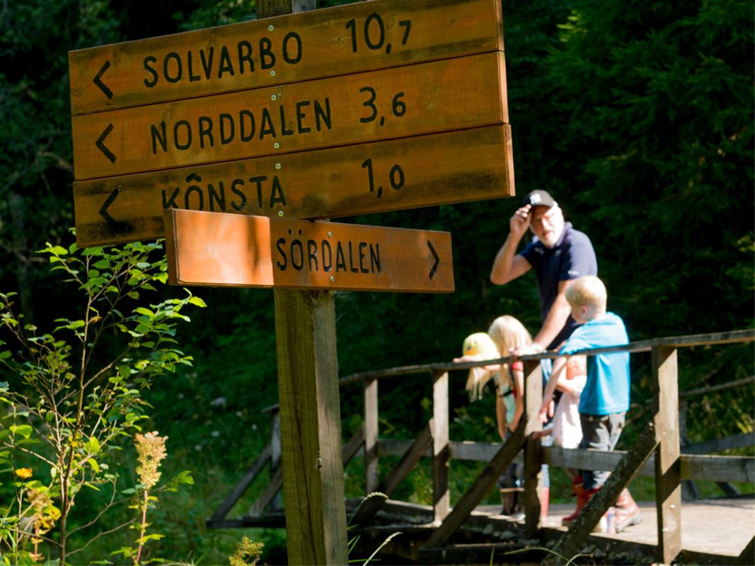 Solvarbocanyon | Visit Dalarna